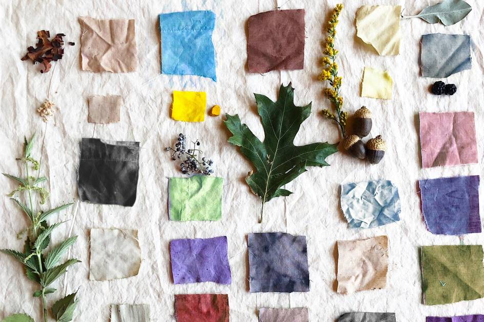 5 new plant-based sustainable innovations in fabric technology