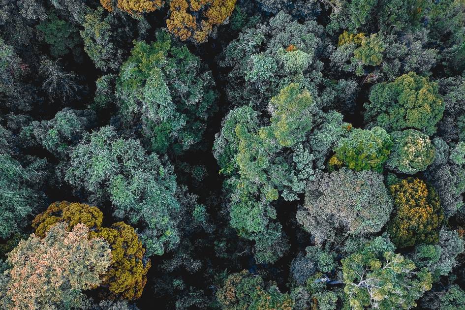 Canopy outlines details of 2 billion dollar investment blueprint for ...