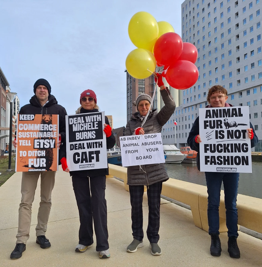 Etsy bans animal fur as industry sentiments continue to shift
