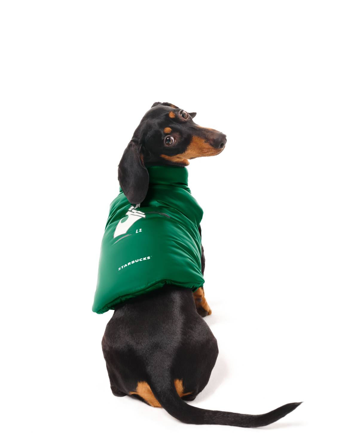 Starbucks lancia a Milano, durante la fashion week, un progetto lifestyle