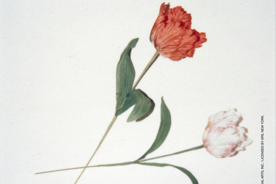 Saint Laurent Rive Droite zeigt die 'Banalität des Alltags' von Andy Warhol