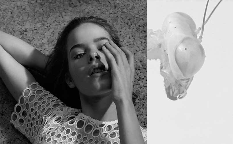 L Capital Asia ups its stake in Dondup to 91 percent