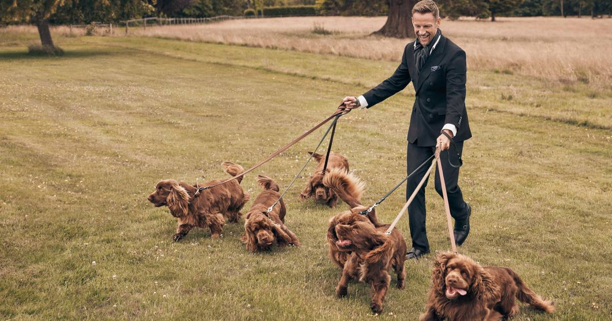 Hackett London reveals new logo