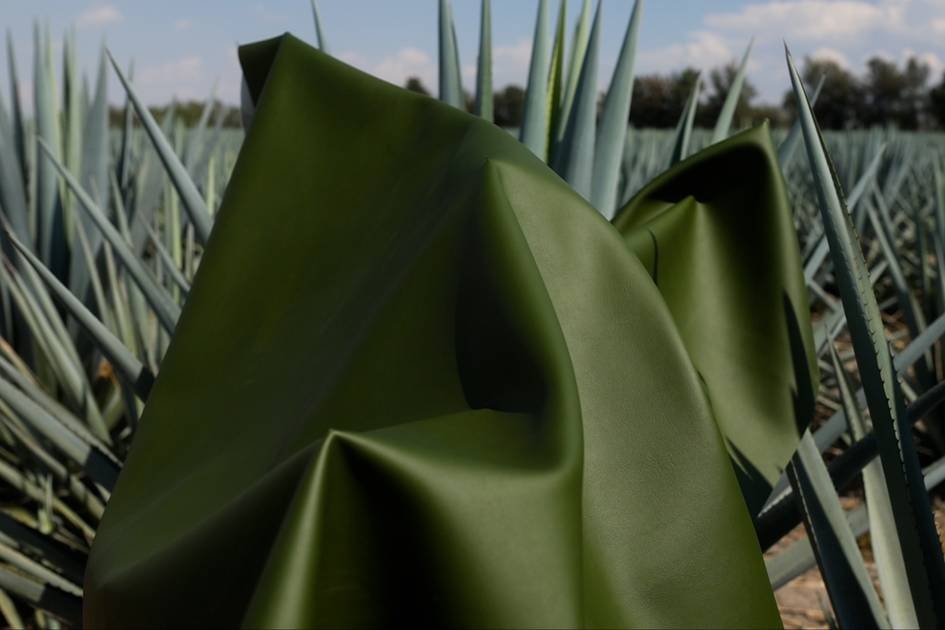 El agave se convierte en la nueva piel vegana más sostenible