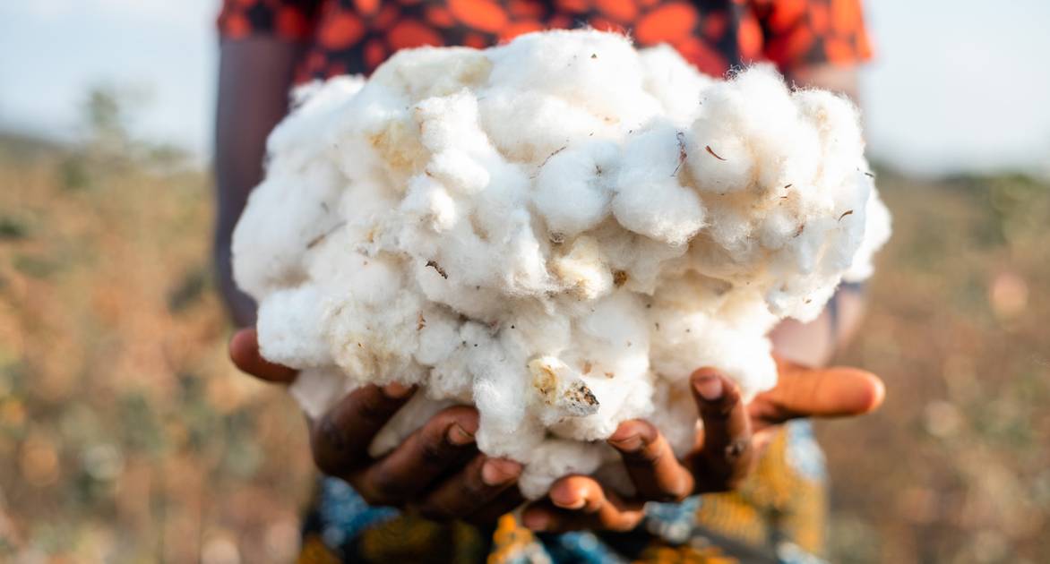 New partners, continued growth for Cotton made in Africa