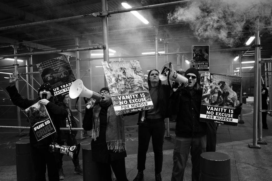 転換期を迎えるアニマルフリーファッション：2025年の成果と2026年の展望