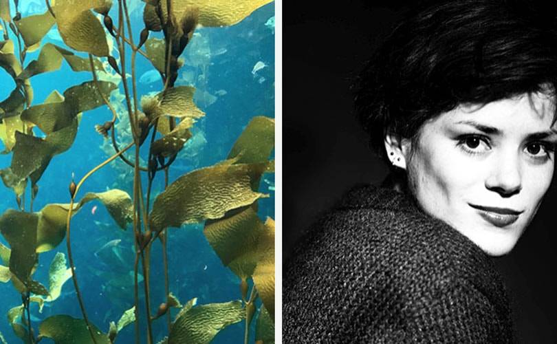 Startup making seaweed textile wins 100,000 euro in sustainability contest